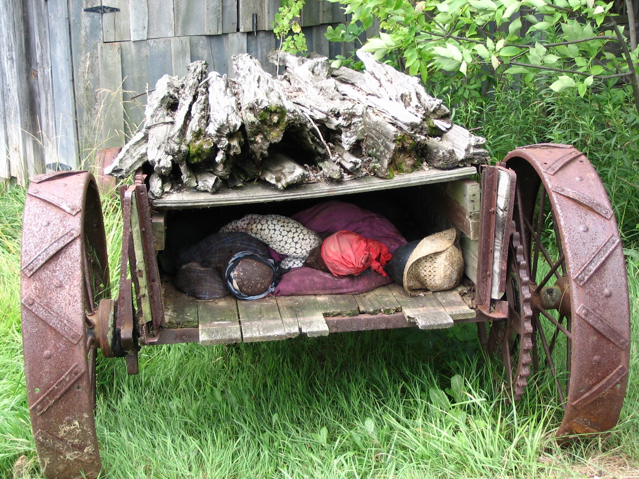 Local museums: “Curiosity is at the heart of equity.” - The Charity Report