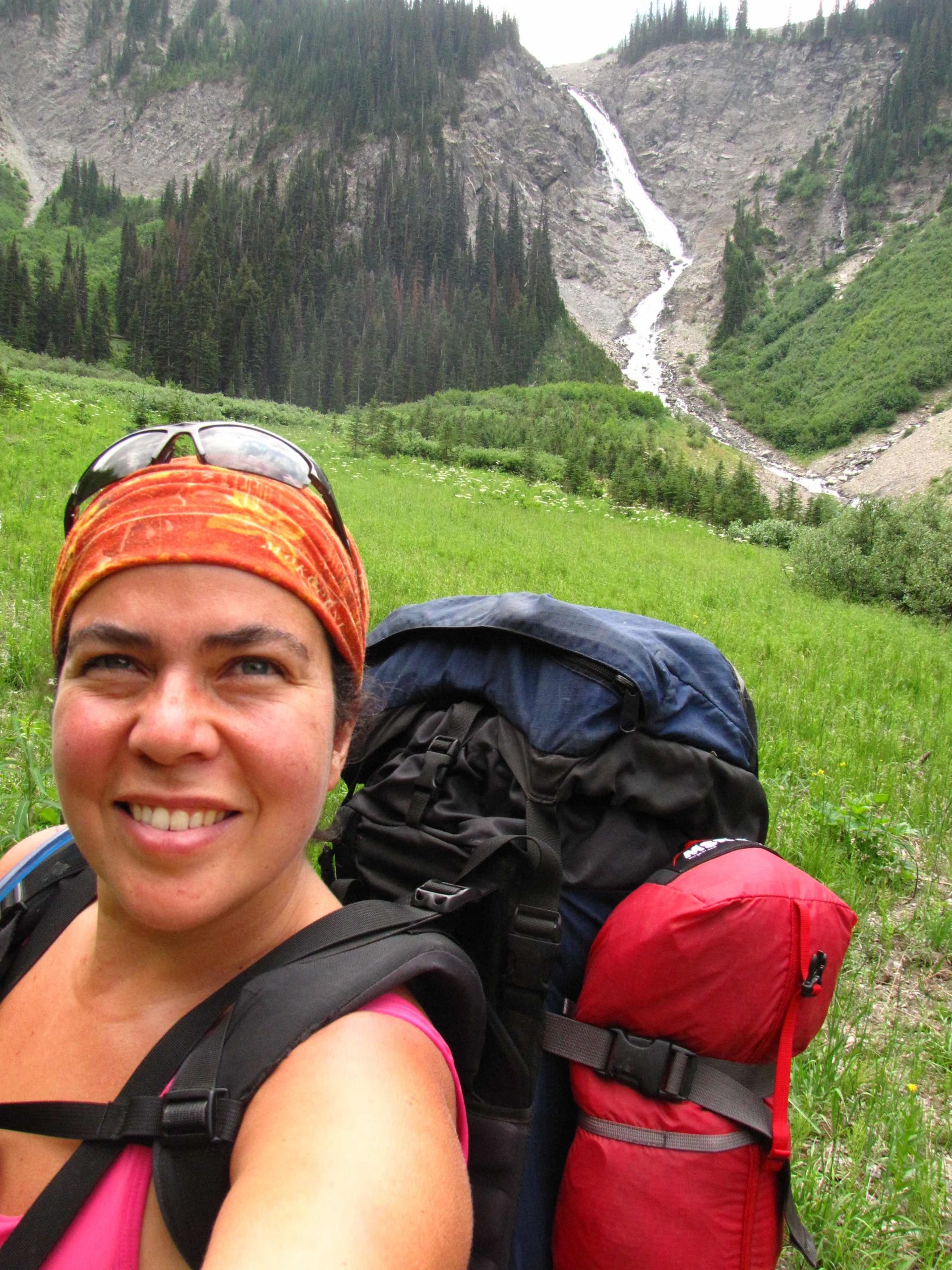 What Bears Teach Us: The push and pull of co-existence - The Charity Report